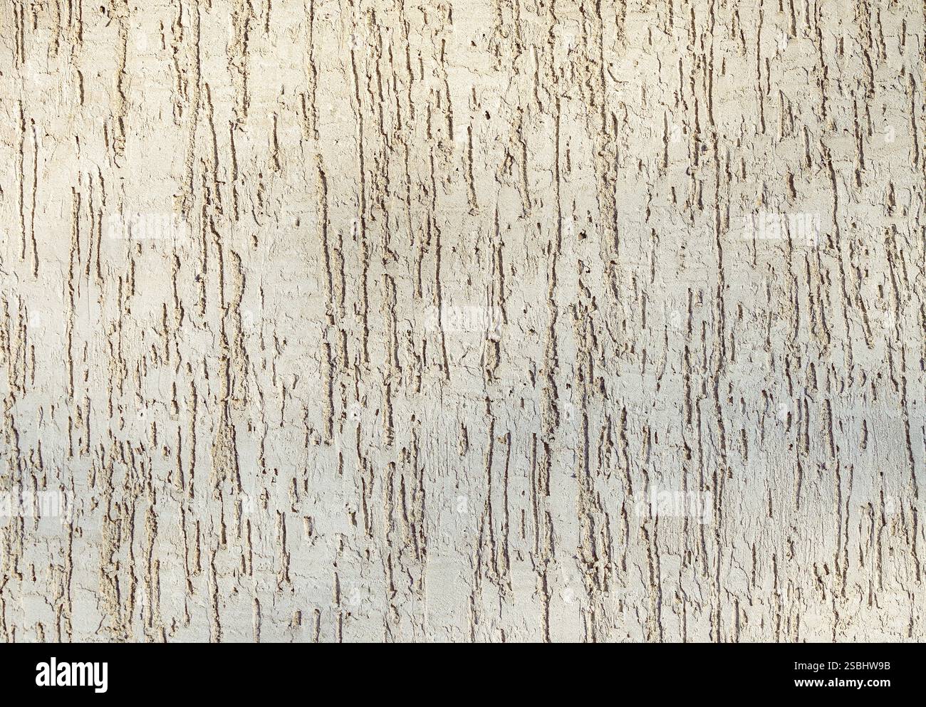 Decorative plaster "Bark beetle" in the wall structure. Concrete ...