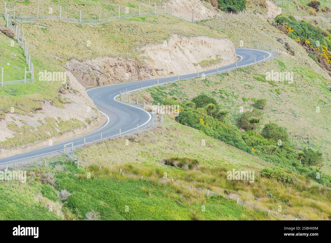 Winding road, Dunedin, Otago, South Island, New Zealand Stock Photo - Alamy