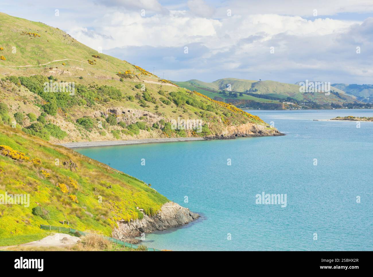 Otago Peninsula, Dunedin, Otago, South Island, New Zealand Stock Photo ...