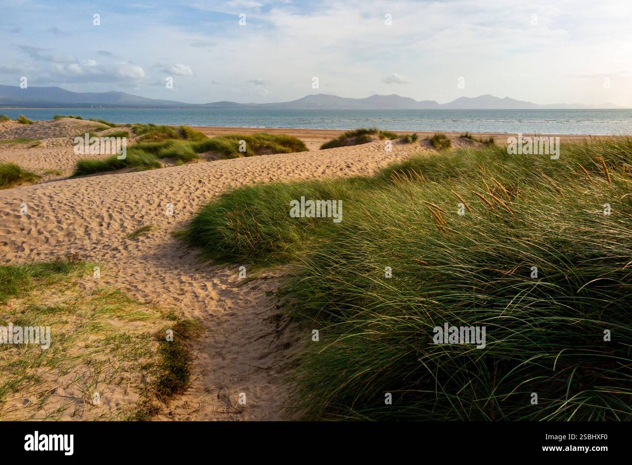 Traeth Llanddwyn a beach near Newborough National Nature Reserve on the ...
