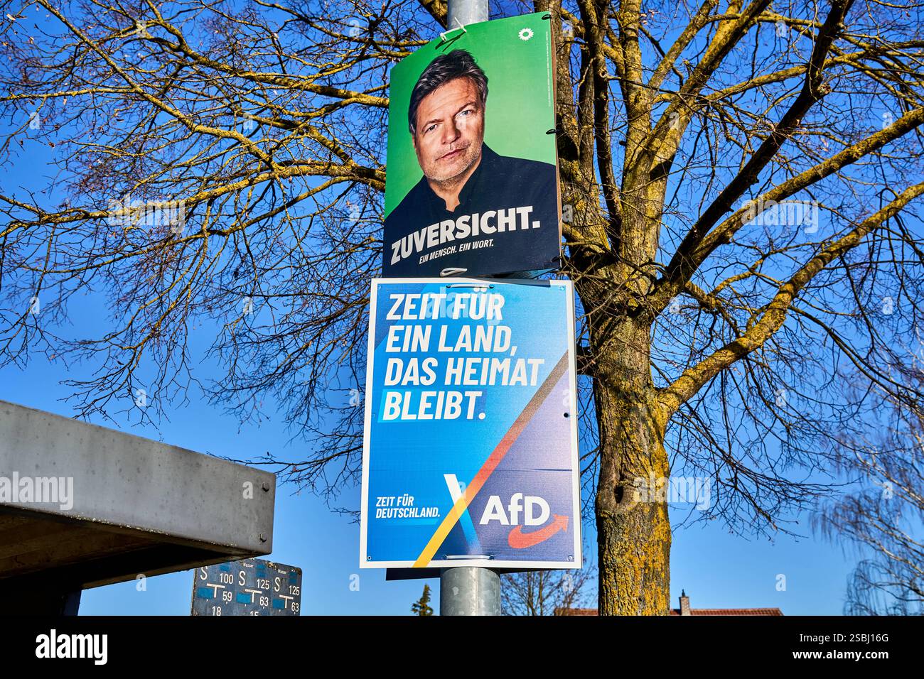 Essenbach, Bavaria, Germany - February 1, 2025: Two election posters ...