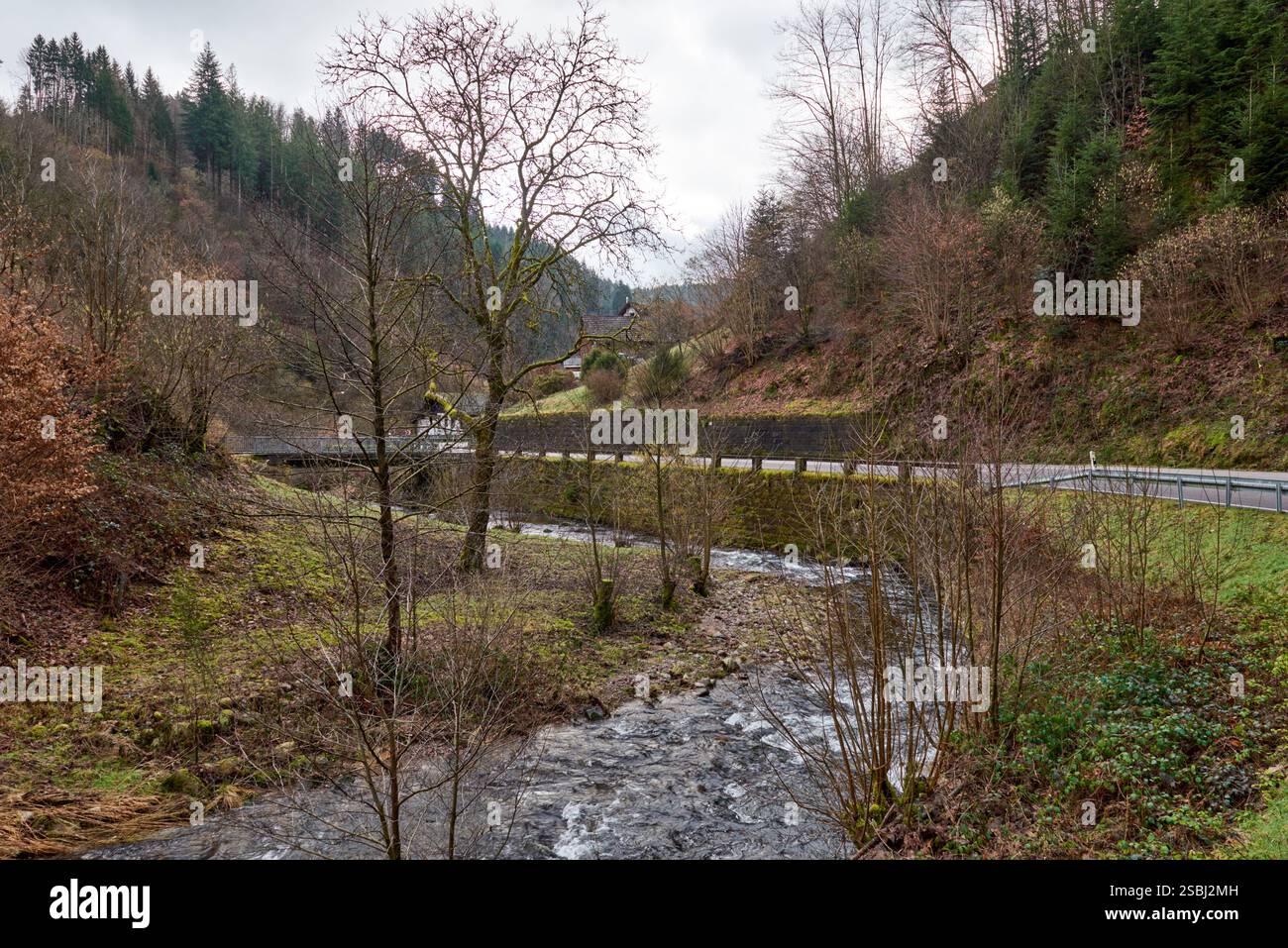 Scenic Mountain Stream Cascading Through Forest with Wooden Steps and ...