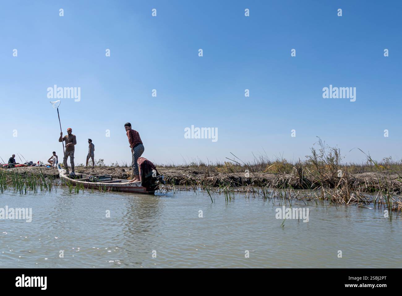 Boat trip in the Mesopotamian / Iraqi Marshes with the so called Marsh ...