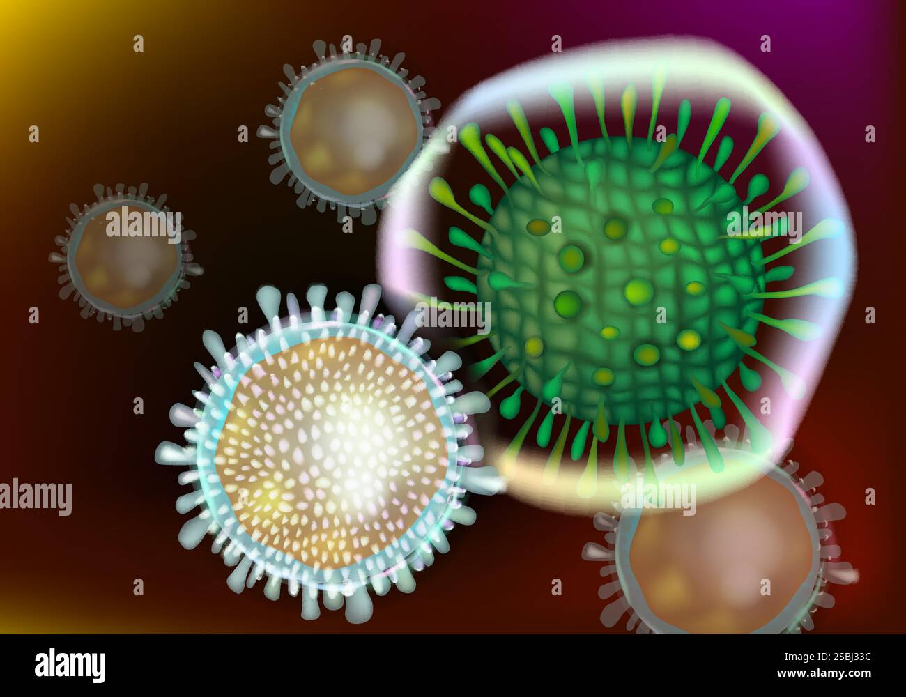 T-cell attacking a virus. T Cell Immune Response Illustration ...