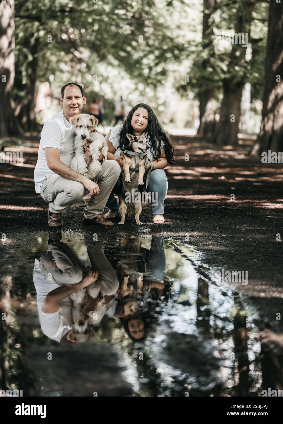 Symmetrical dog pose hi-res stock photography and images - Alamy