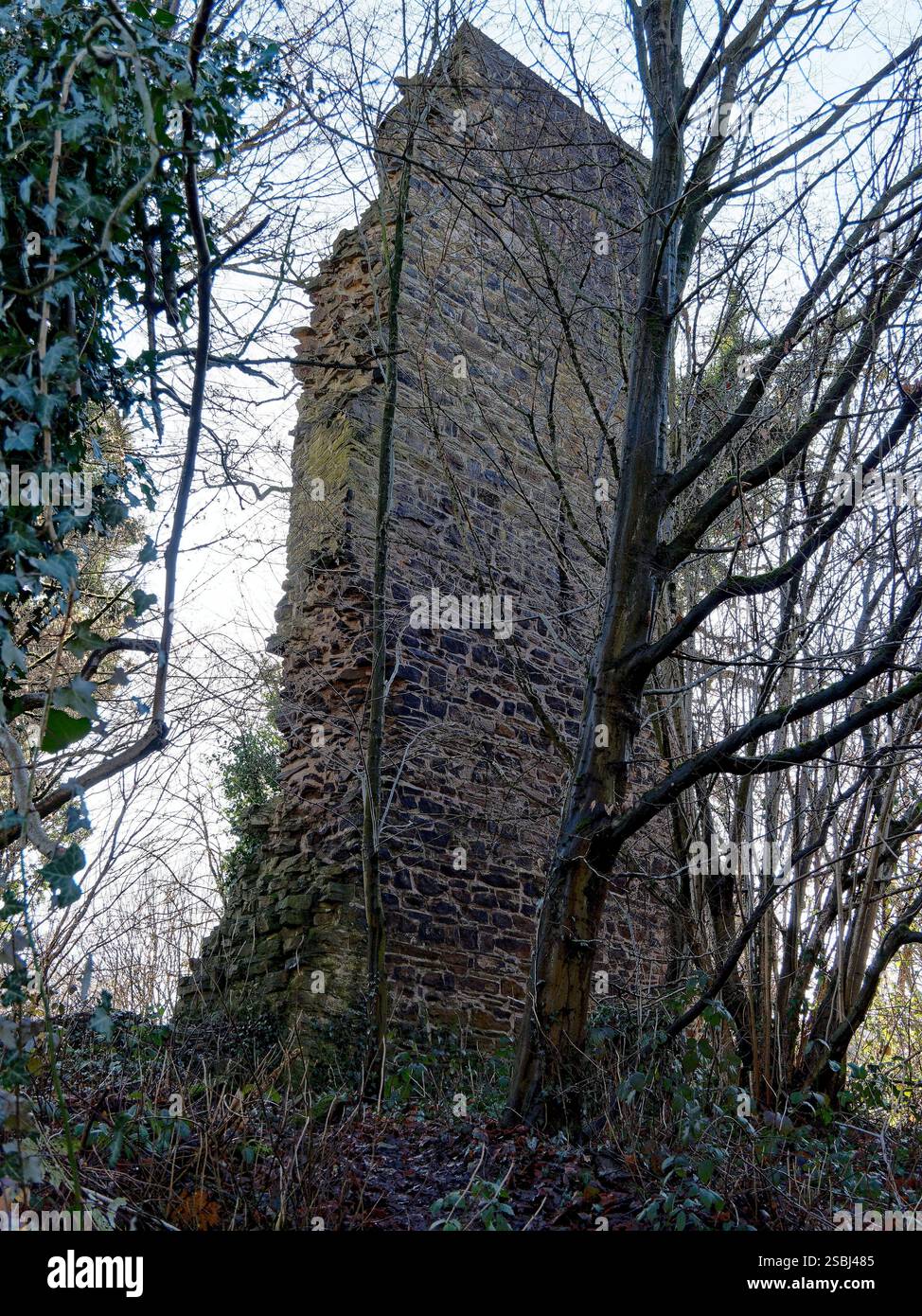 Ruin of Kattenturm in Essen-Kettwig, Germany, remains of the knight's ...