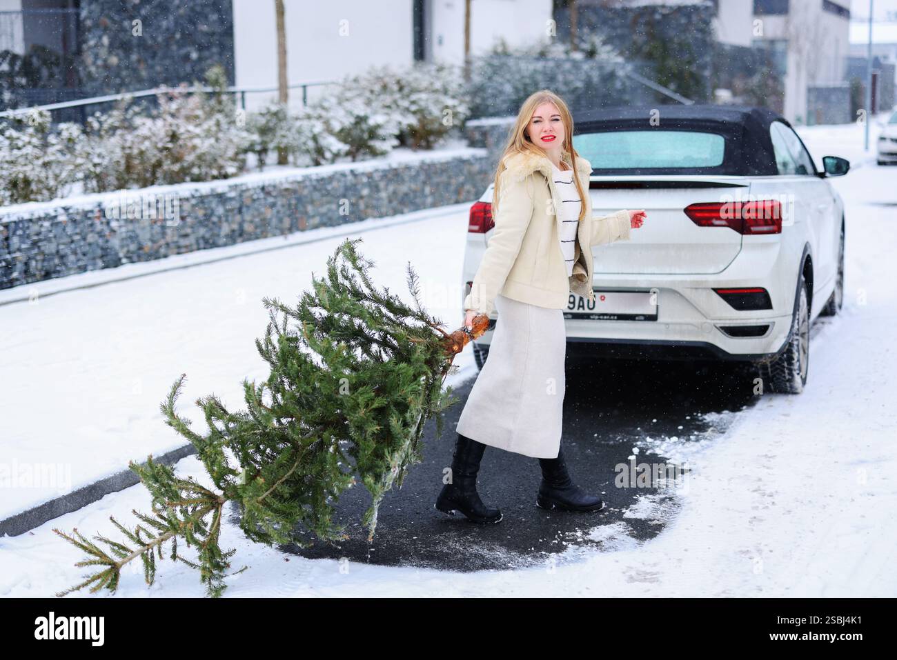 girl drags Christmas tree to throw away Stock Photo - Alamy
