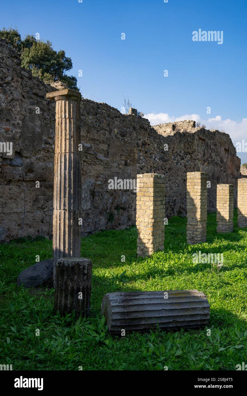 Ruins of Building VIII.6.2 in possible hoticultural plot in the ancient ...