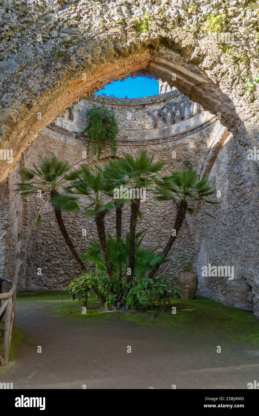 Palm trees in a courtyard in the 13th Century Villa Rufolo in Ravello ...