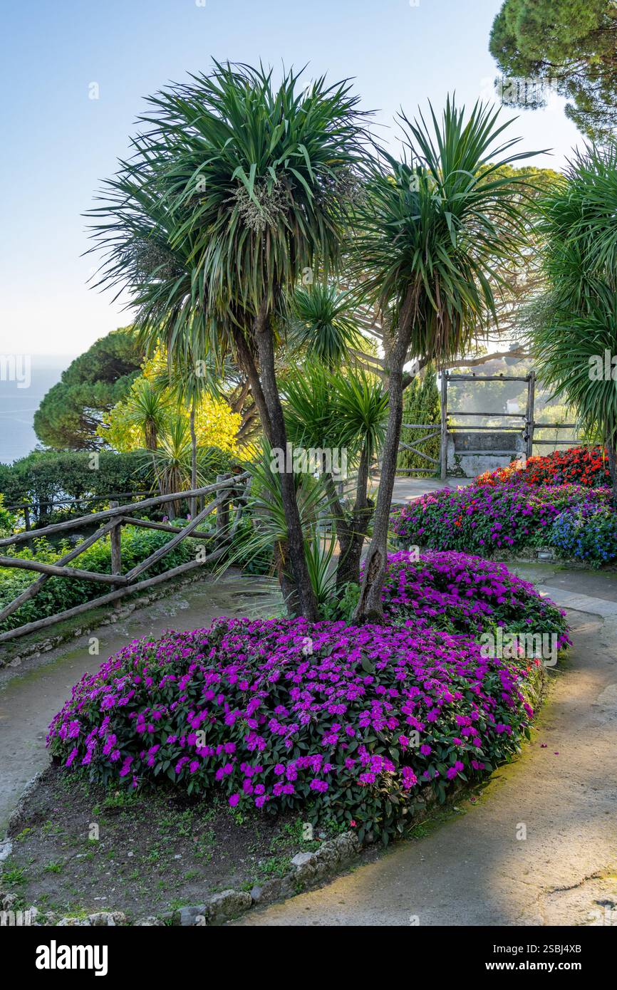Palm trees and flowers in the gardens of the 13th Century Villa Rufolo ...