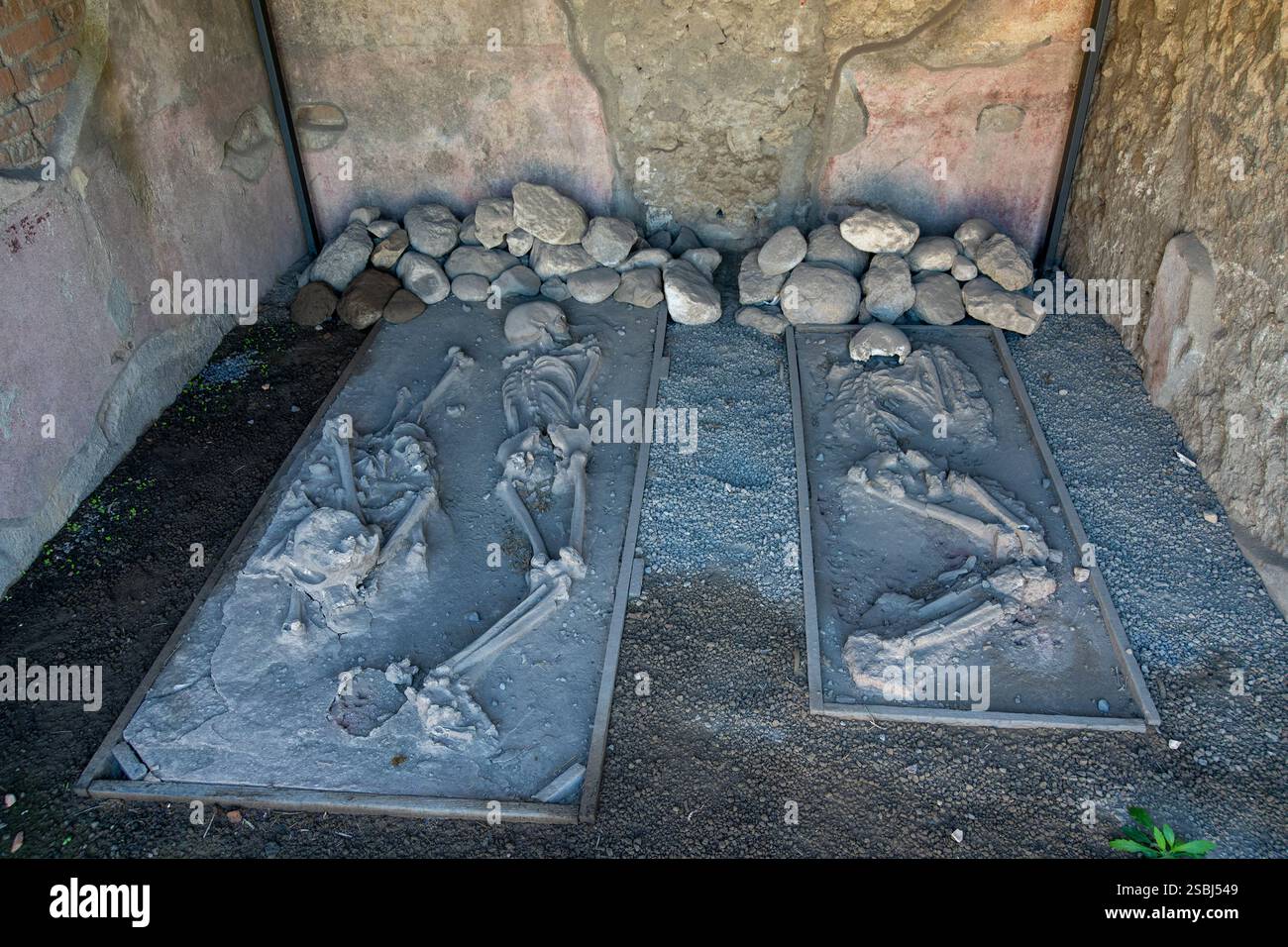 Skeletal remains of victims of the volcanic eruption in the Macellum in ...