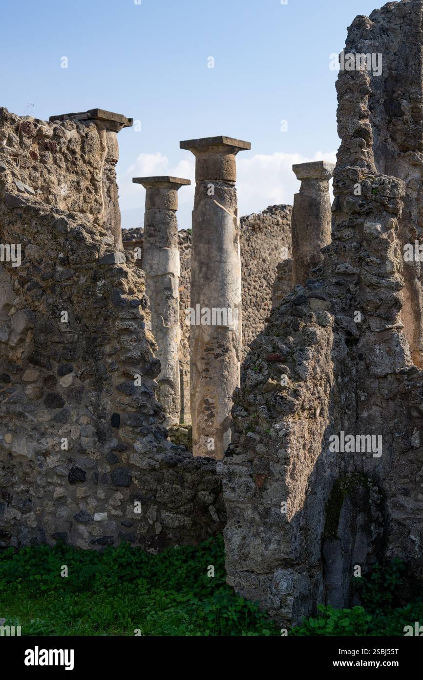 Columns of the atrium of a house, Building VIII.3.27, in the ancient ...