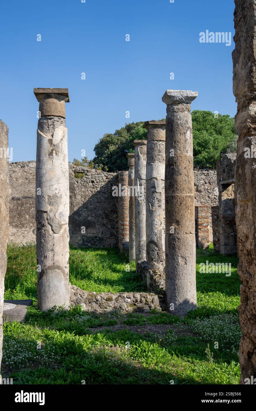 Columns of the atrium of a house, Building VIII.3.27, in the ancient ...