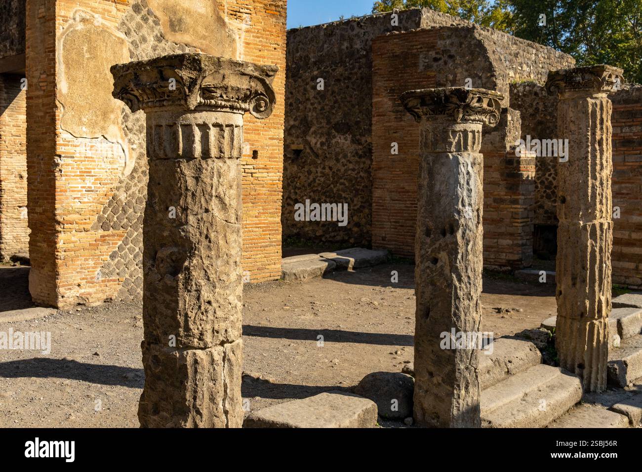 Corinthian columns of the Quadriporticus of the Theater, Building VIII.7.16, in the ancient ...