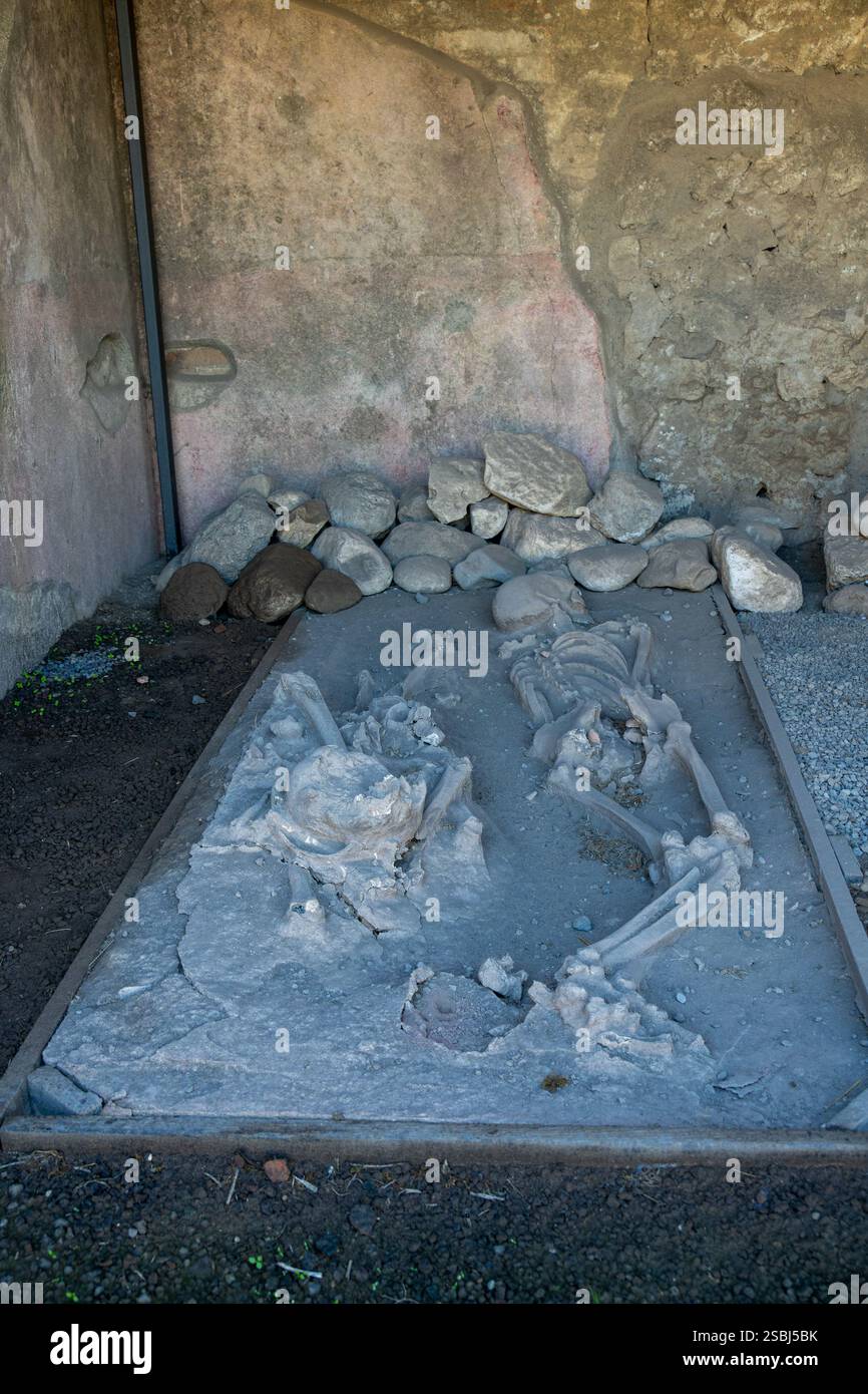 Skeletal remains of victims of the volcanic eruption in the Macellum in ...