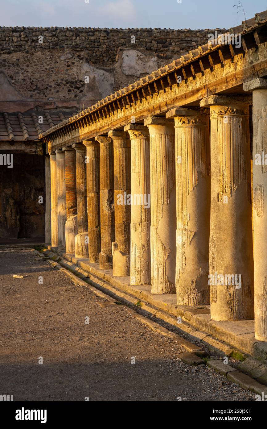 The colonnaded facade of the Stabian Baths, Building VII.1.8, in the ...