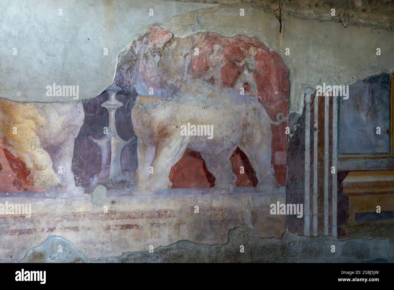 Fresco of elephants in the House of the Lararium of Achilles, Building ...