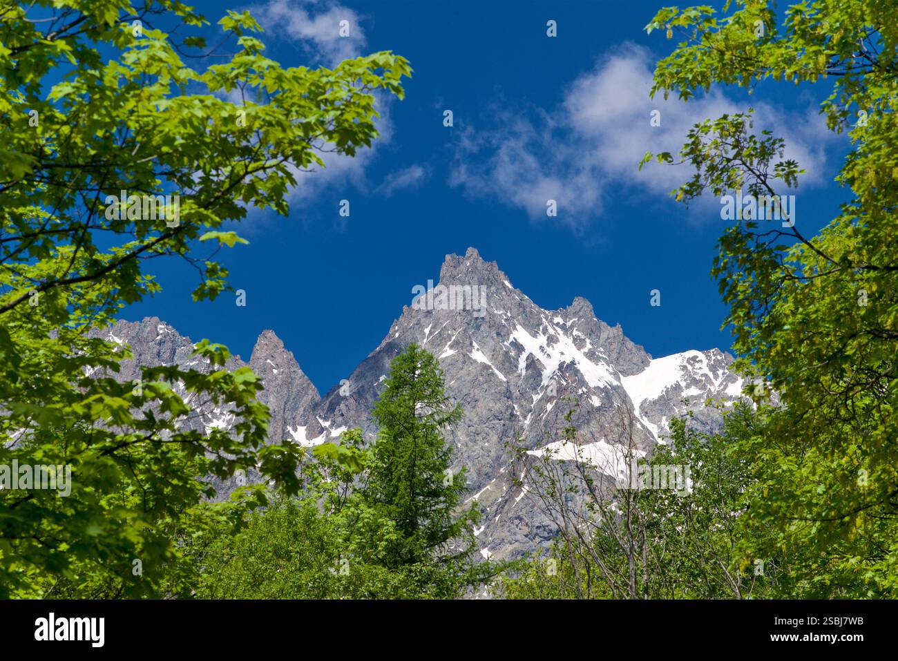 Mont Pelvoux / surounding mountains seen through trees on the road from ...