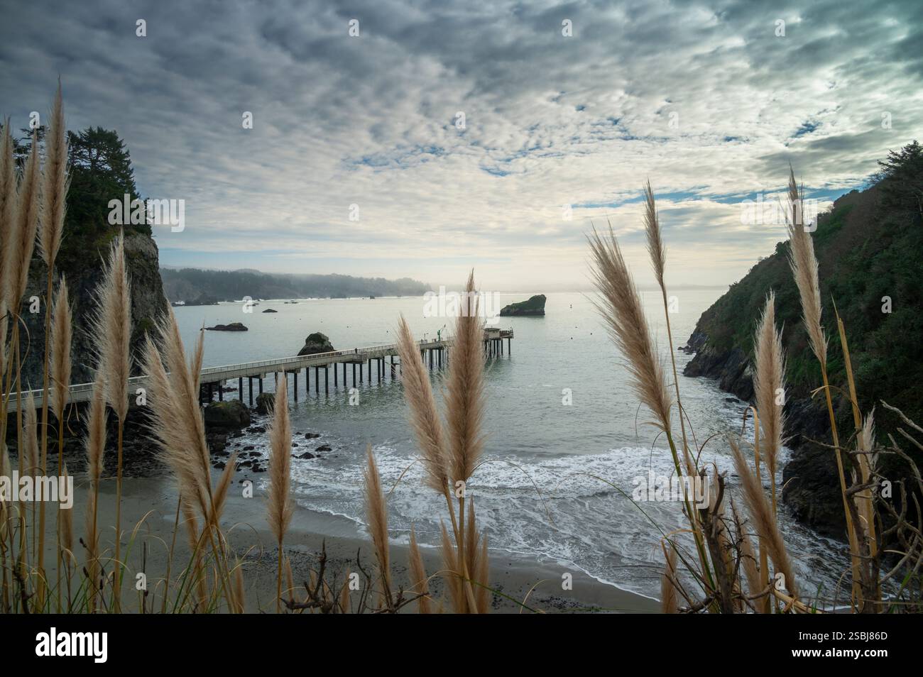 Fishing Pier in Trinidad, California, USA Stock Photo - Alamy