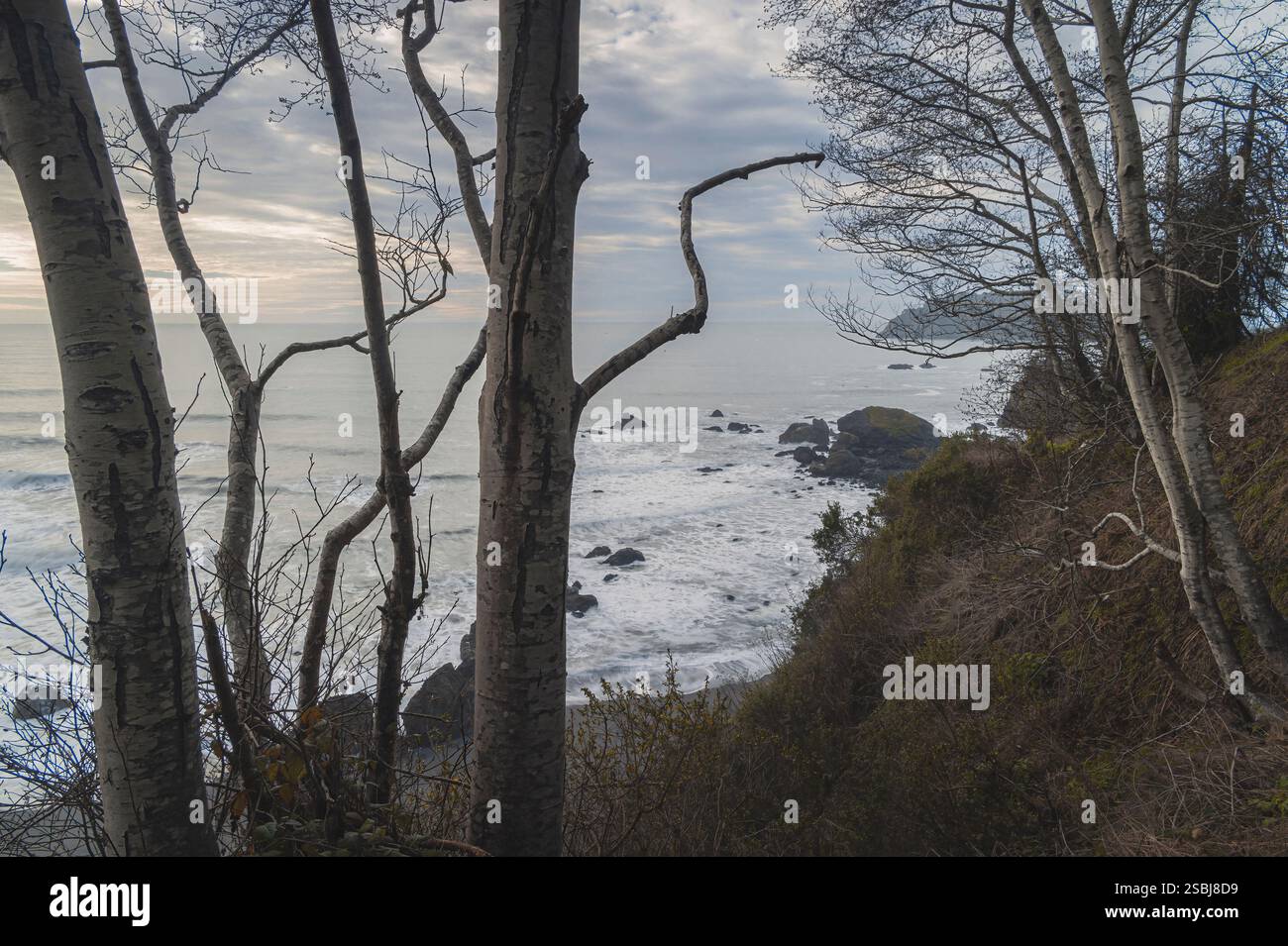 Winter in Trinidad, California Stock Photo - Alamy
