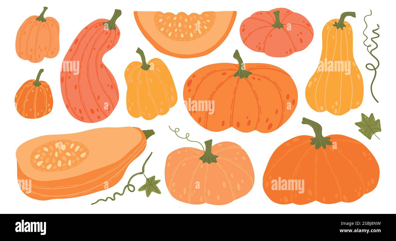 Collection colorful gourds pumpkins Stock Vector Images - Alamy