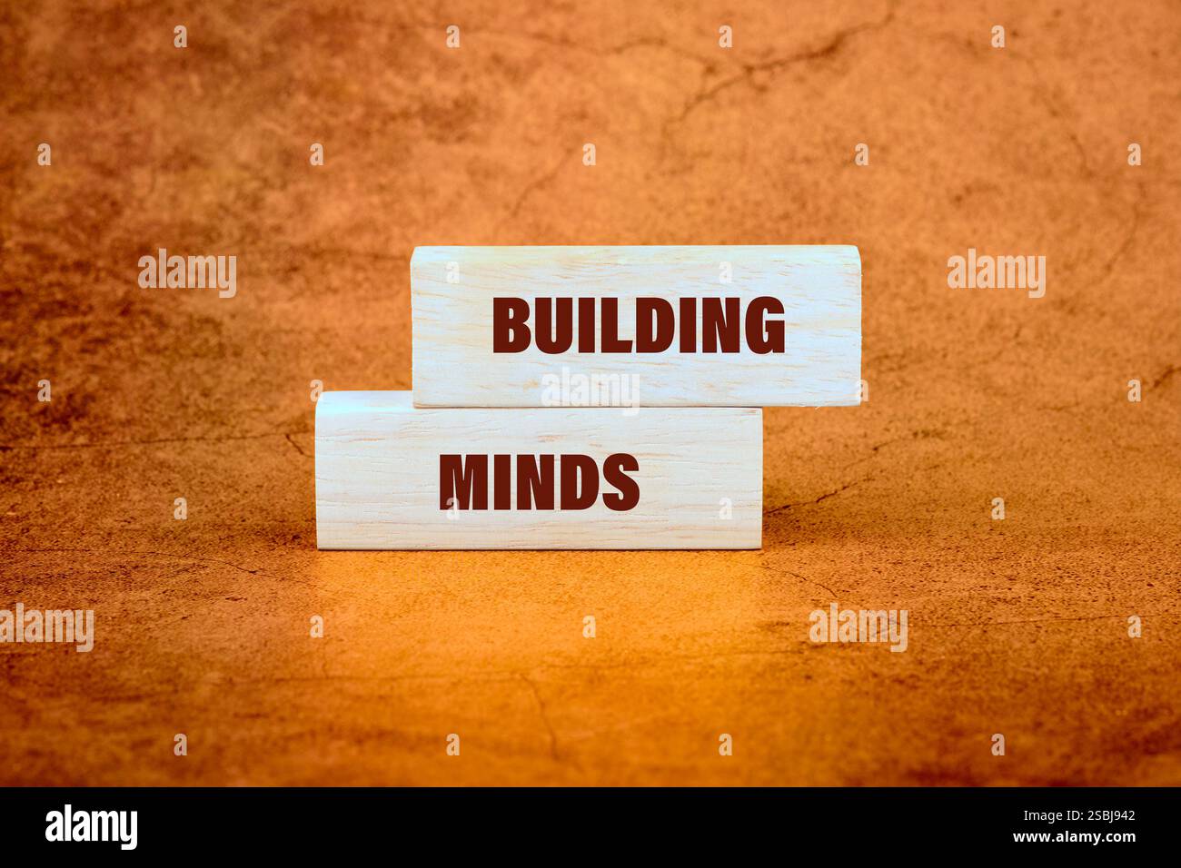 Concept of education is highlighted with wooden blocks displaying the ...