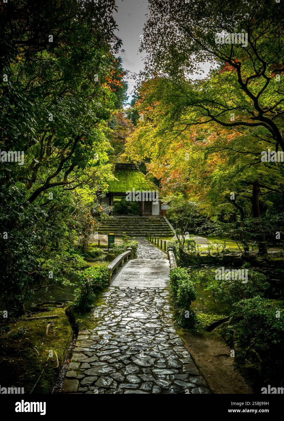 The pathway leading to the Honenin shrine in Kyoto Japan Stock Photo ...