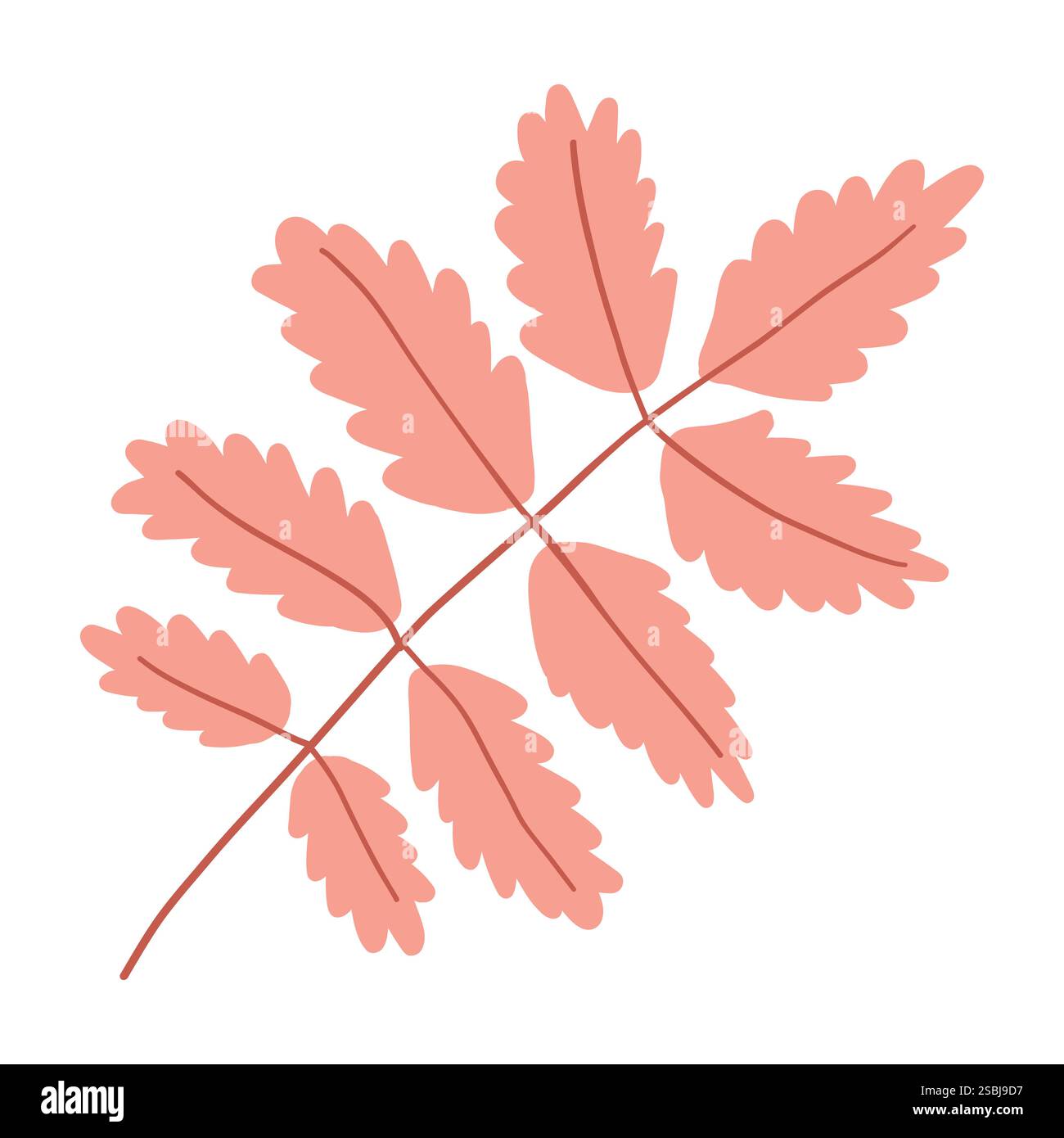 A simple illustration of a pink autumn leaf with multiple leaflets ...