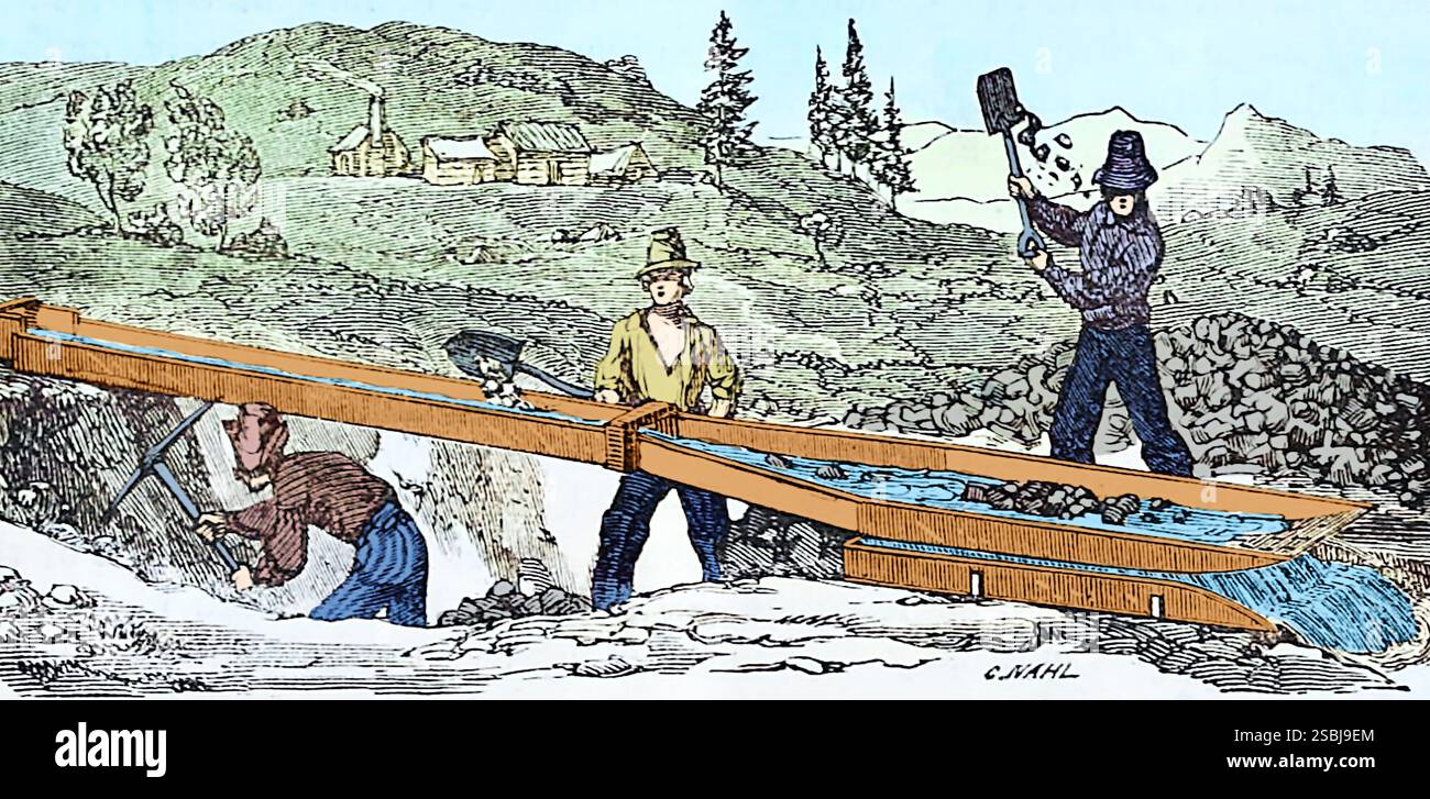 Gold miners using the Long Tom or Broad Tom, a modified sluice box ...