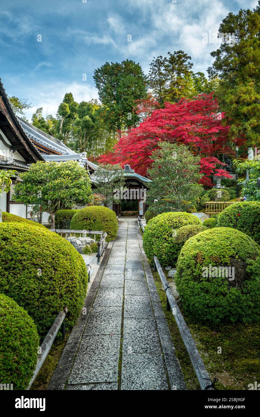 The pathway leading to a typical Japanese garden taken during autumn ...