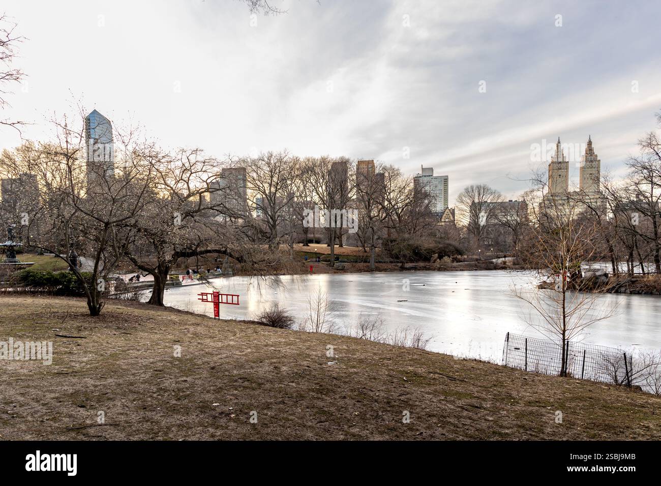 The serene beauty of a frozen lake surrounded by trees in Manhattan's Central Park on January 30 ...