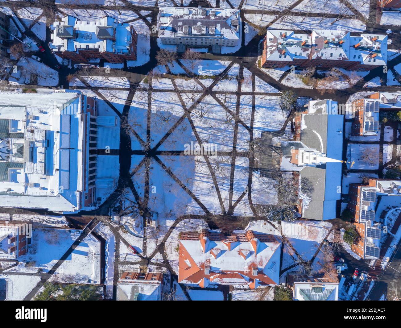 Old harvard yard aerial hi-res stock photography and images - Alamy