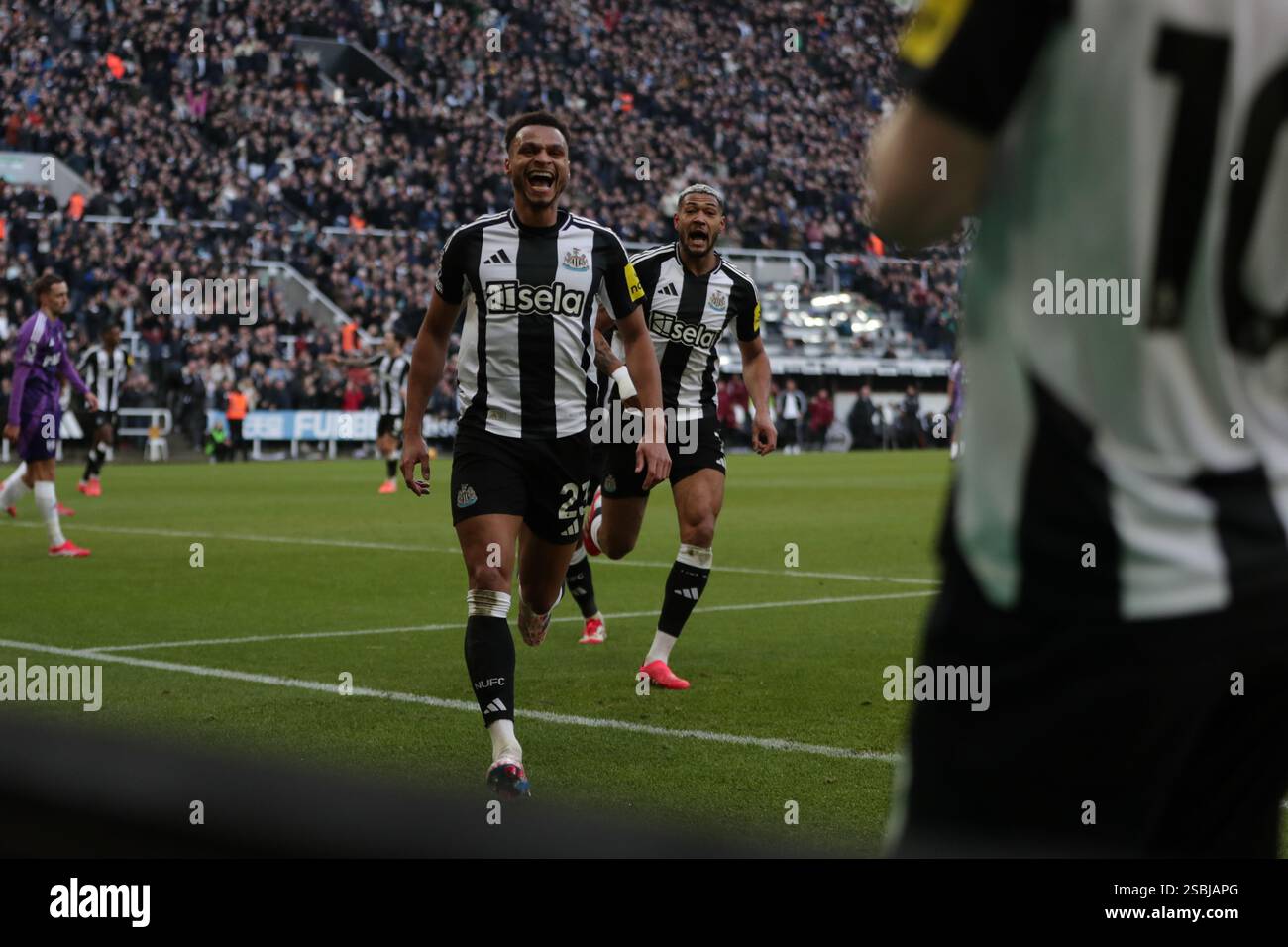 Jacob Murphy of Newcastle United Celebrates scoring 1-0 - Newcastle ...
