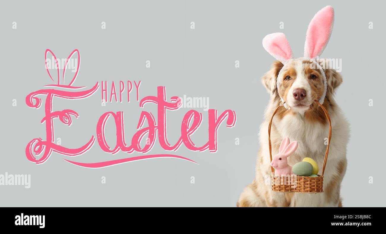 Easter banner with cute Australian Shepherd dog wearing bunny ears ...