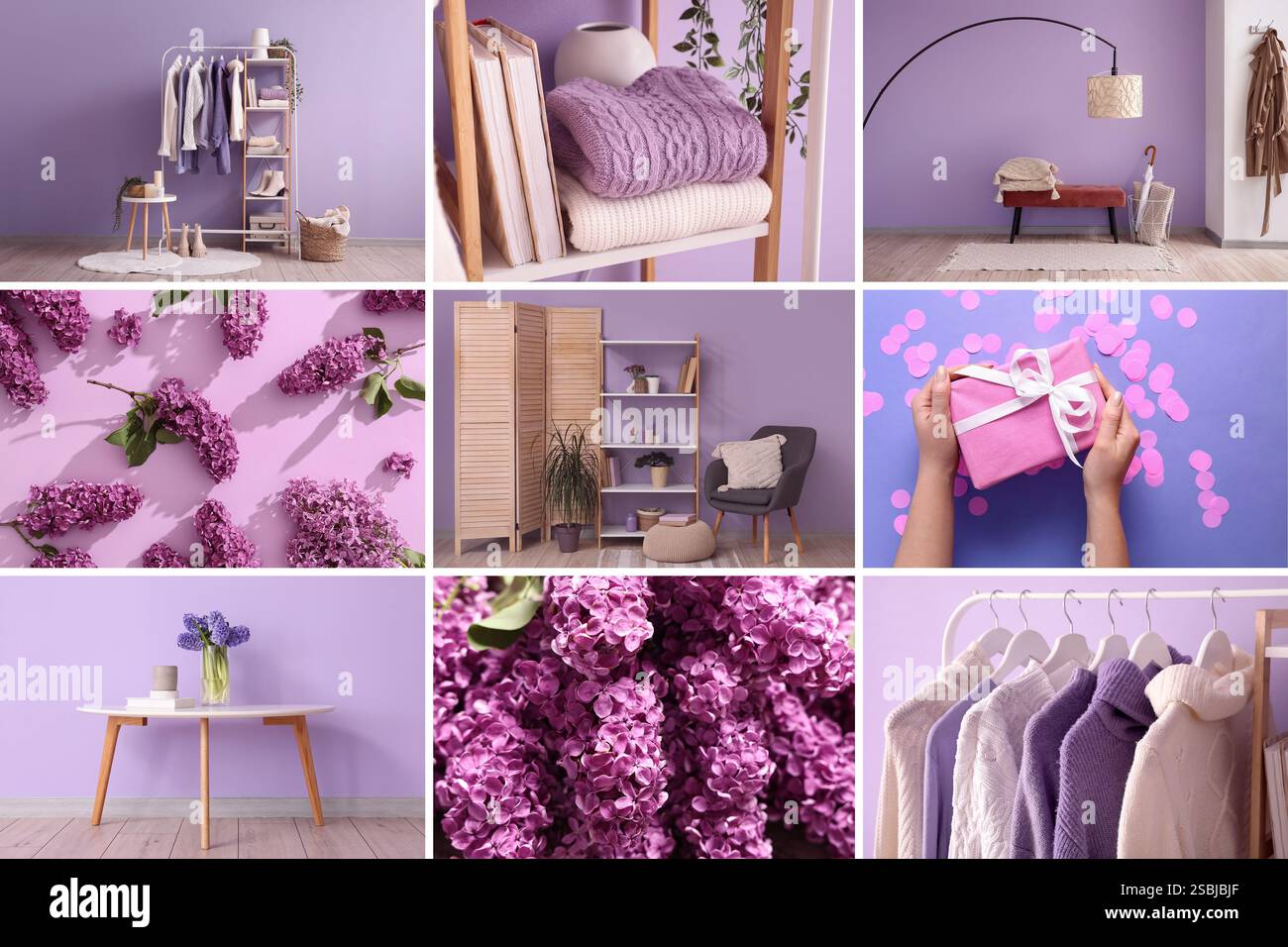Collection of photos with lilac color Stock Photo - Alamy