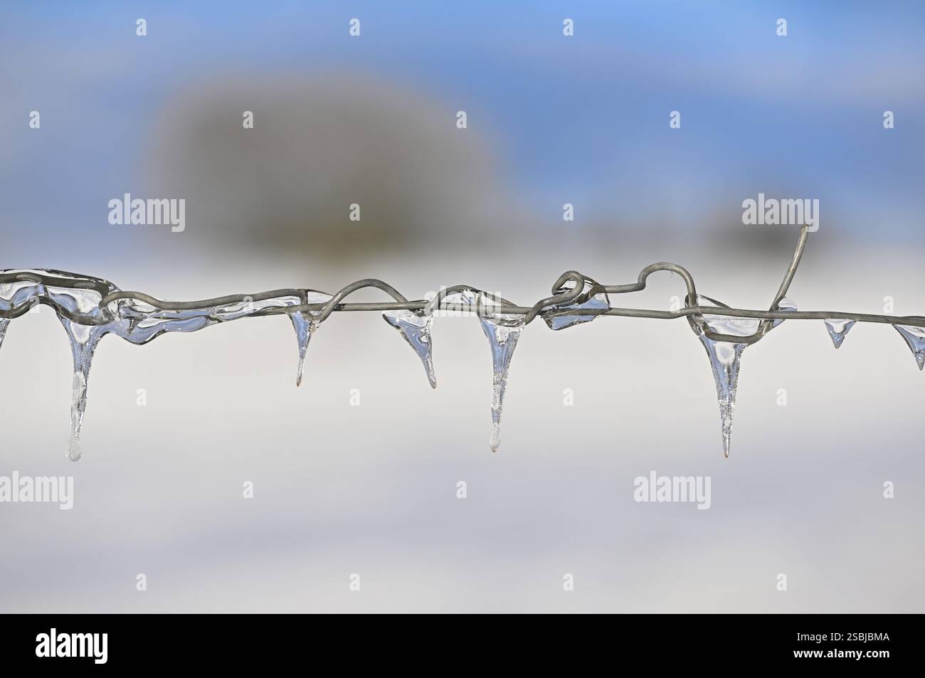 Ice and icicles on grazing wire after freezing rain in front of a snow ...