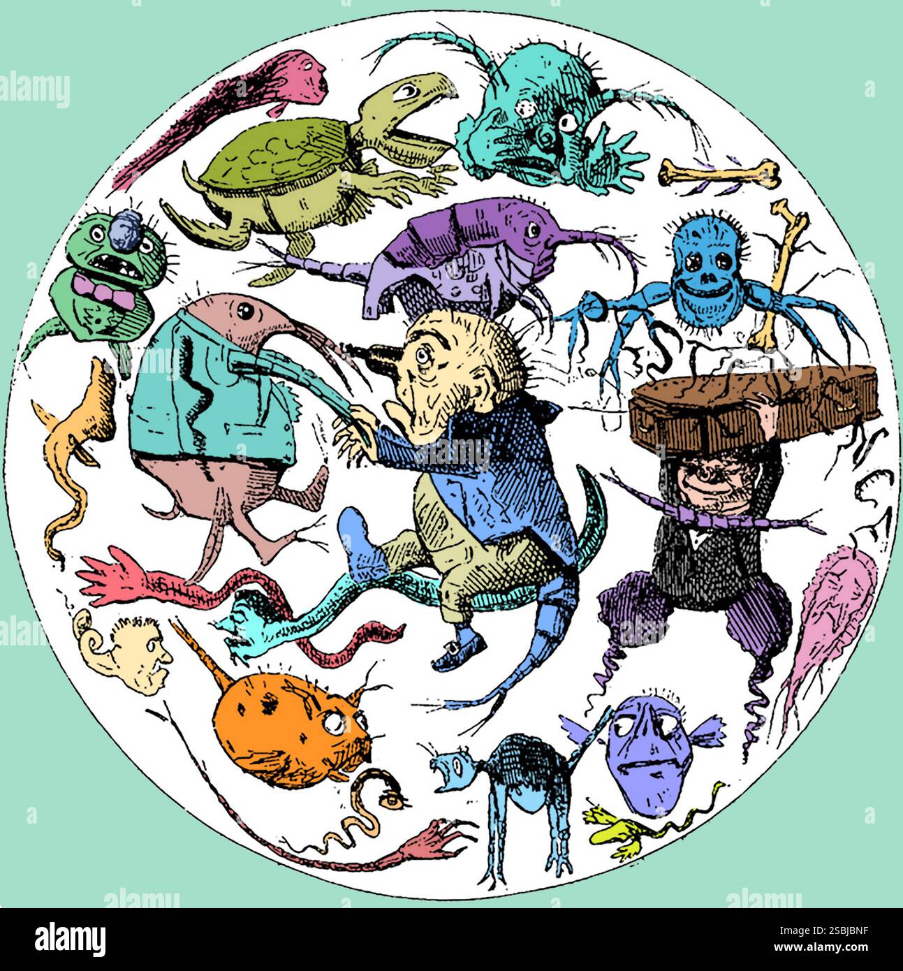 The Wonders of a London Water Drop, a cartoon published in Punch ...