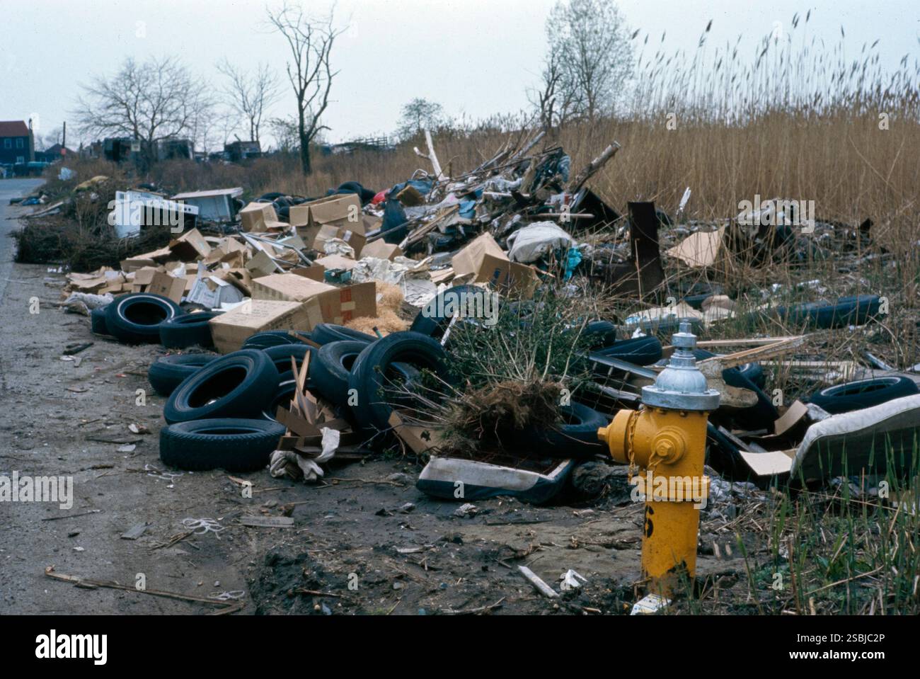 Trash on the roadside, New York, 1970s. Photograph by Bernard Gotfryd ...