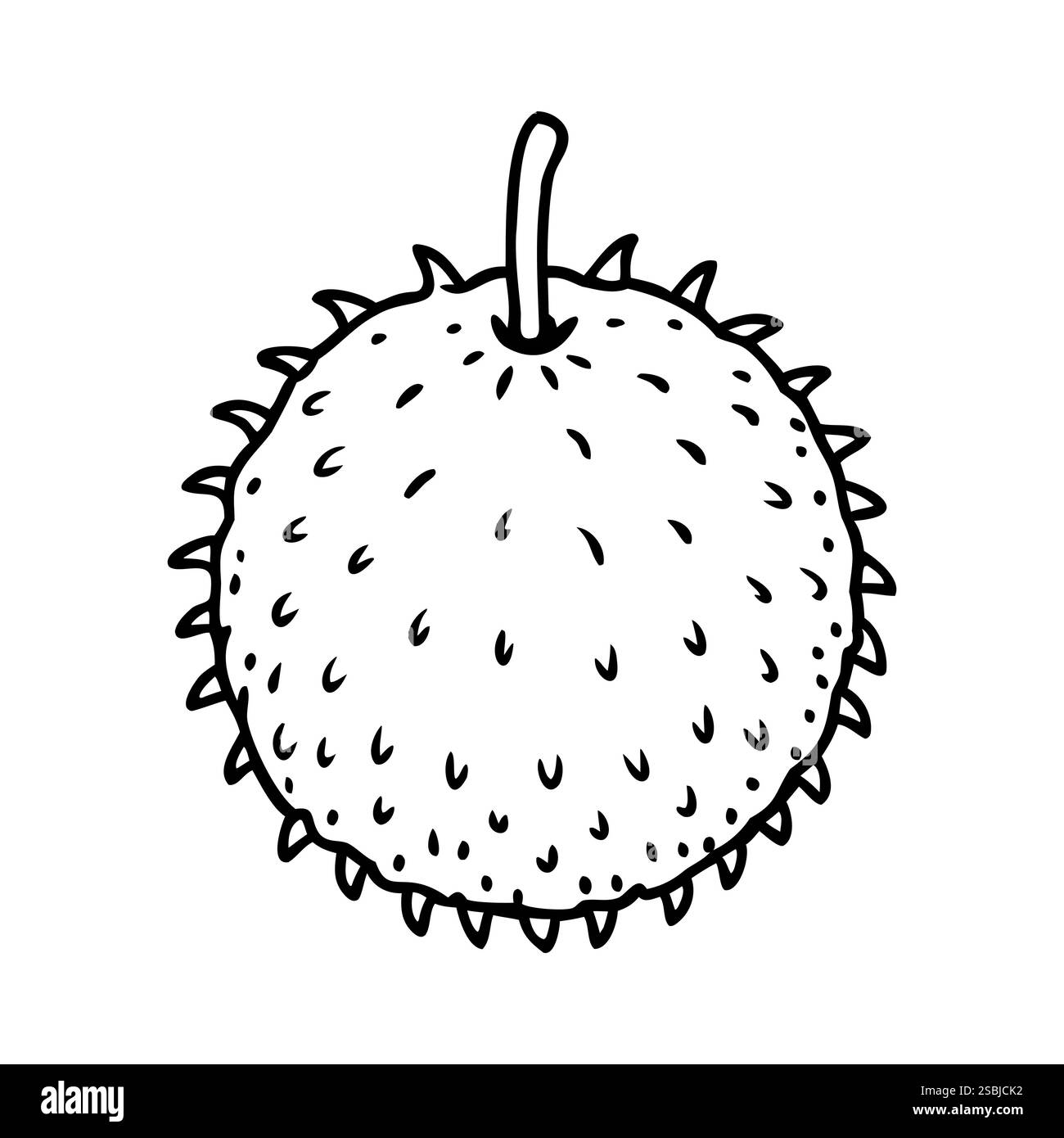 Lychee icon. Minimalist line drawing of a ripe lychee. Vector ...
