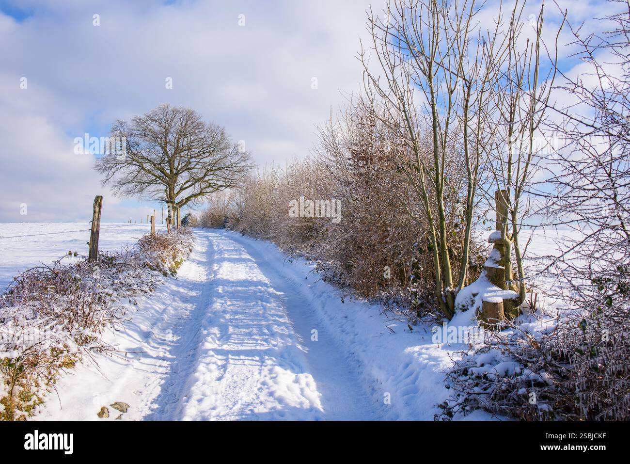 Snow-covered and icy hiking trail after freezing rain. Hedge covered ...
