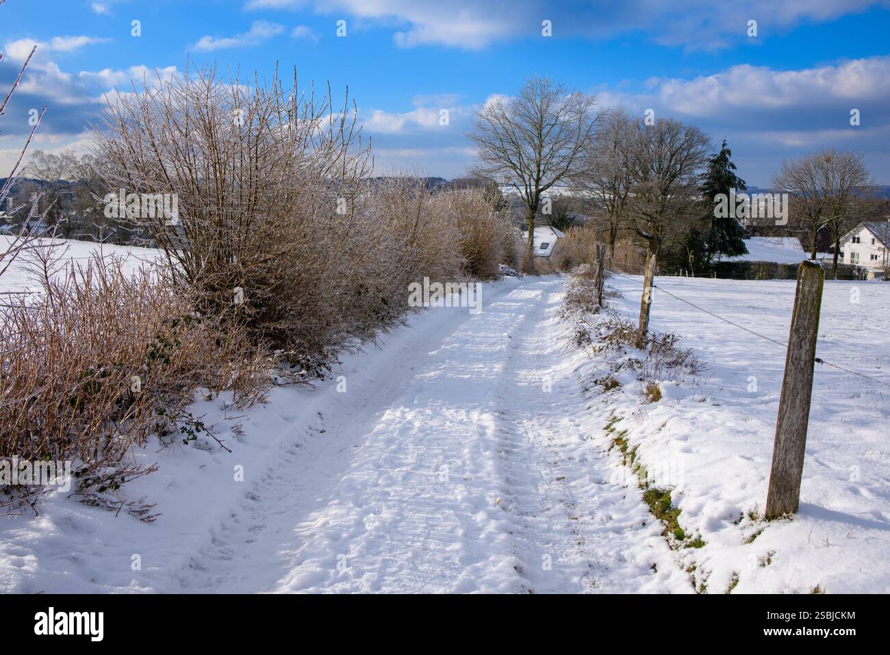 Snow-covered and icy hiking trail after freezing rain. Hedge covered ...
