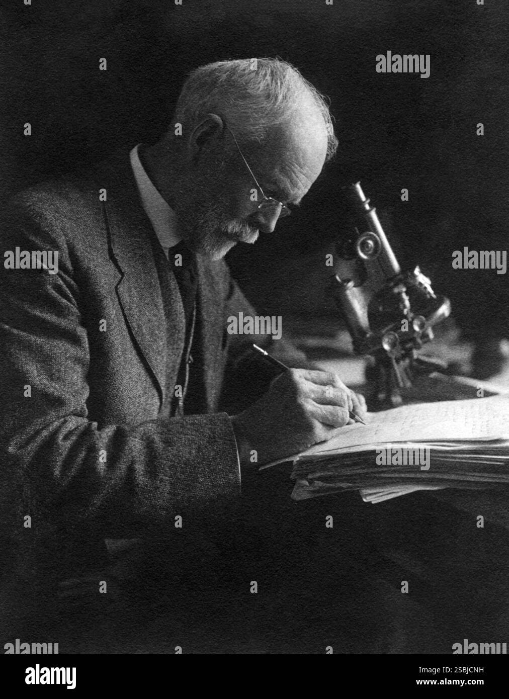 Edmund Beecher Wilson (1856-1939), circa 1925./nWilson was a pioneering ...