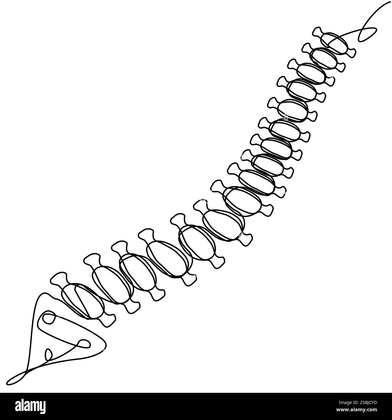 Human spine in one line on a white background Stock Vector Image & Art ...