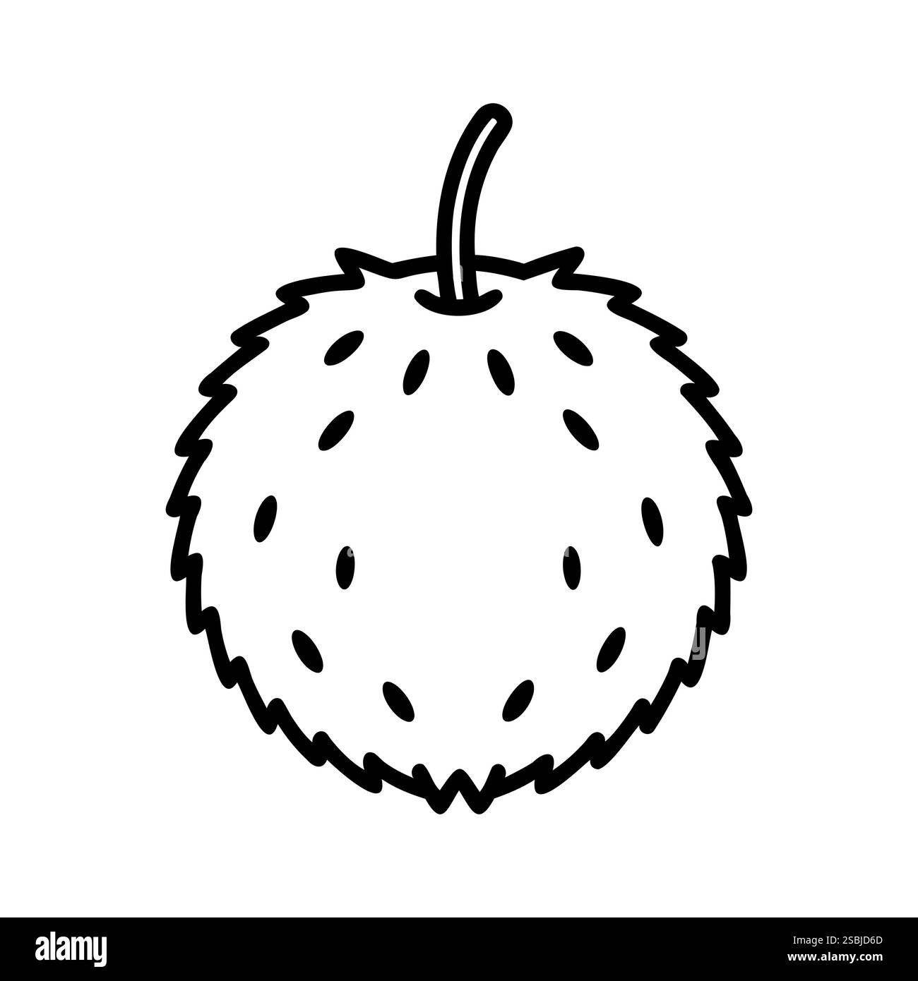 Lychee icon. Minimalist line drawing of a ripe lychee. Vector ...