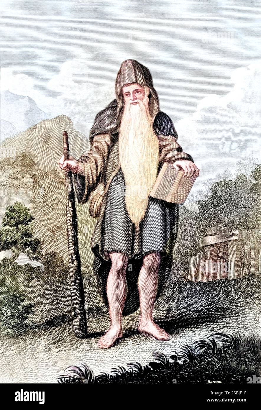 A druid was a member of the educated, professional class among the ...