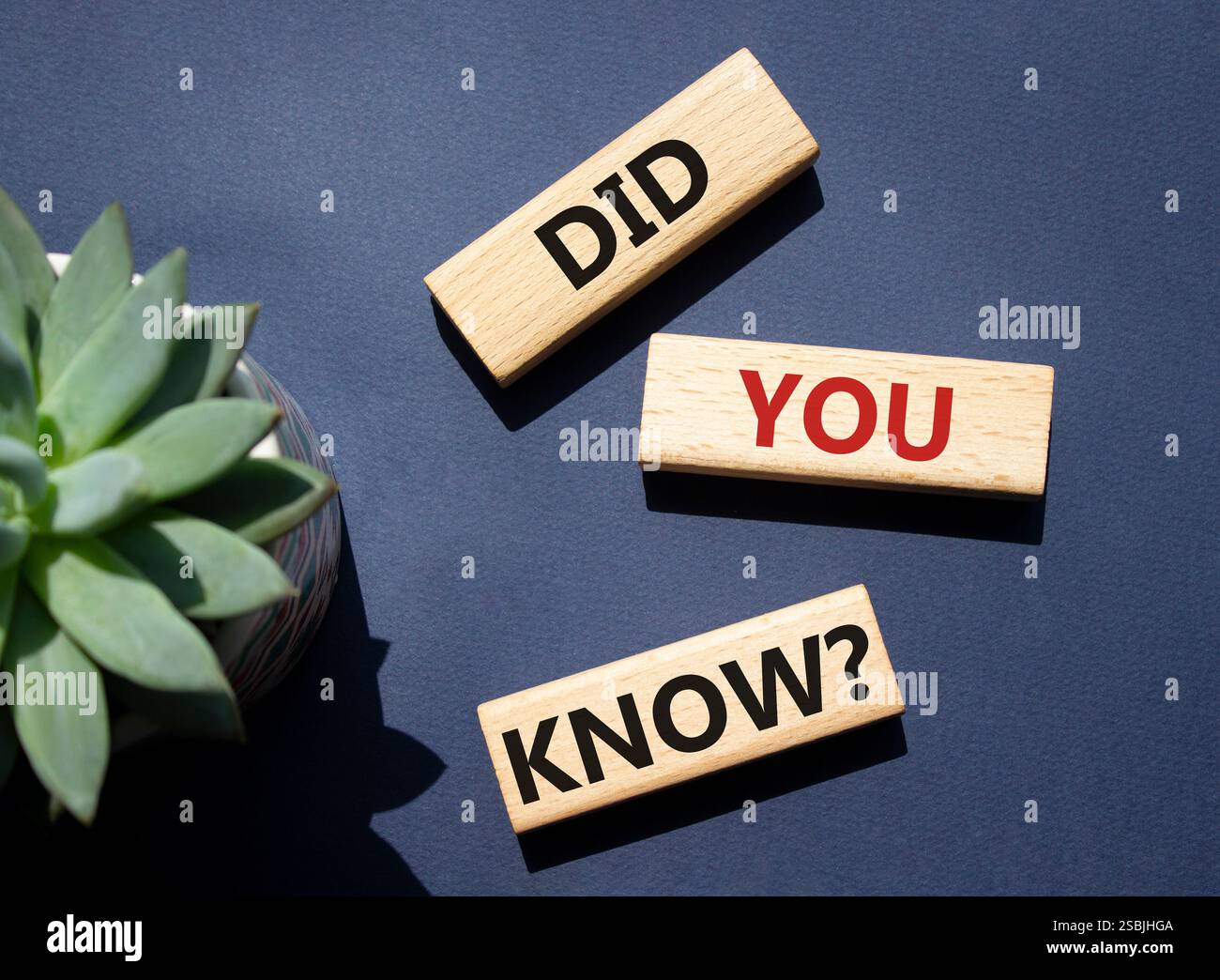 Did you know symbol. Wooden blocks with words Did you know. Beautiful ...