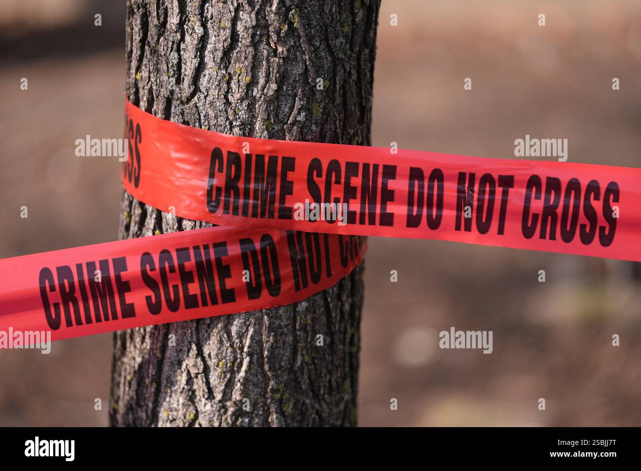 Crime scene tape is wrapped around a tree in the aftermath of a fatal ...