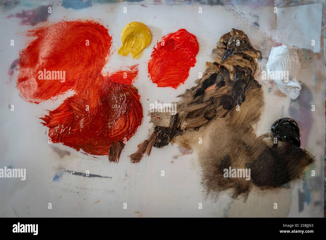 Detail of color mixes on a color palette during a drawing class Stock ...