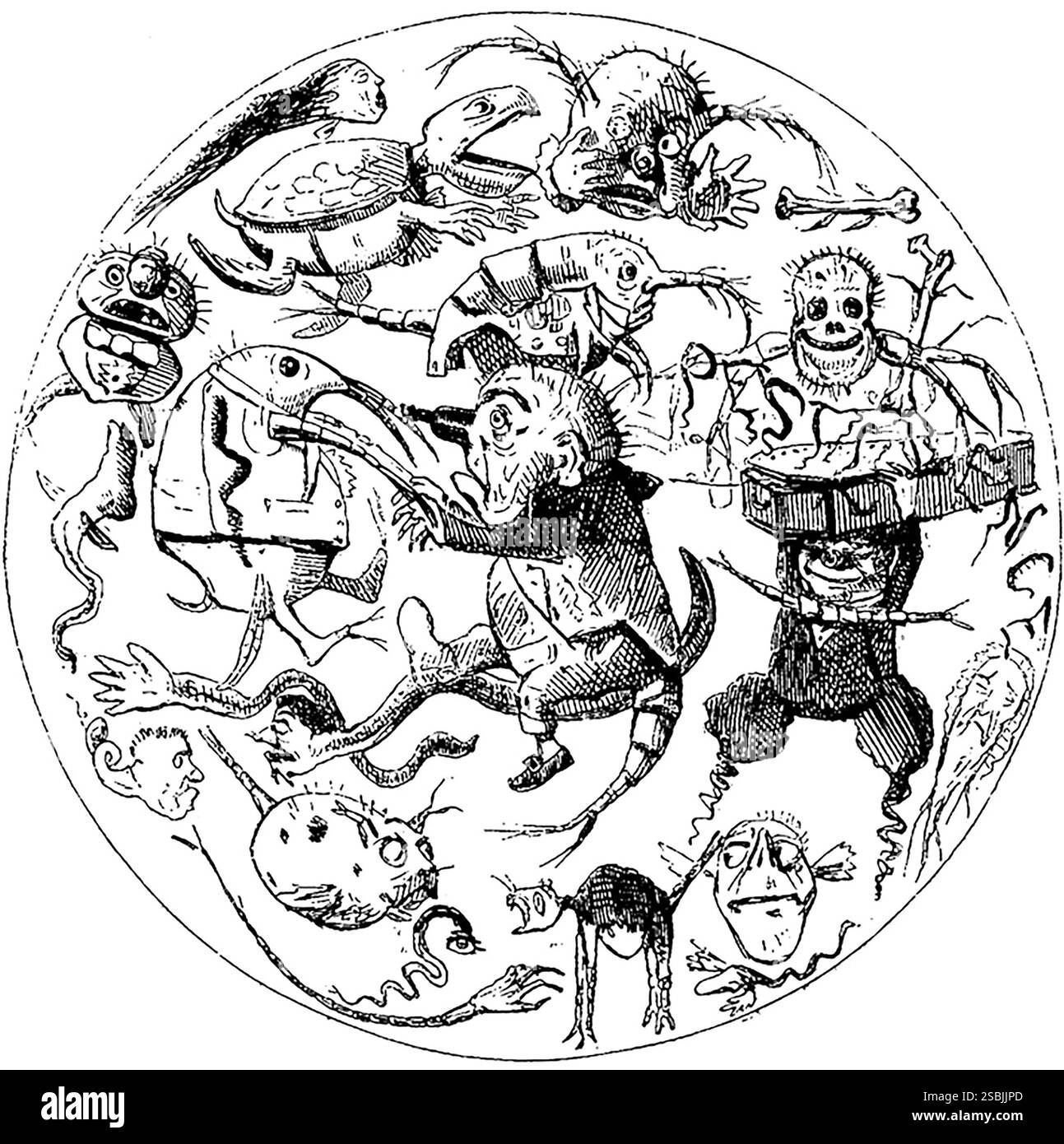 The Wonders of a London Water Drop, a cartoon published in Punch ...