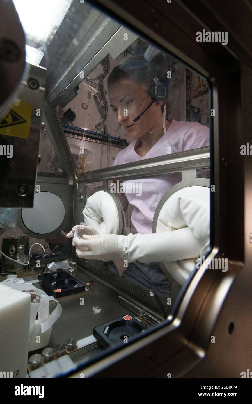 Astronaut Kayla Barron works inside the Life Science Glovebox ...